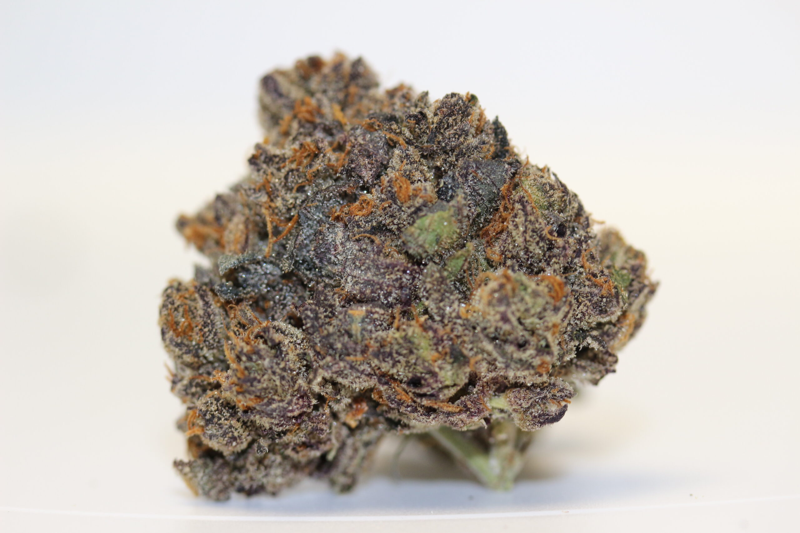 jd crunch berries – Ascend Cannabis Dispensary